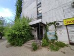 Дети войны (Lizyukov street No:36), sivil toplum kuruluşları  Voronej'den