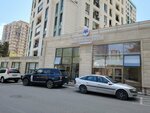 The International Montessori Center (Alesker Guseynov Street No:33), çocuk gelişim merkezleri  Bakü'den