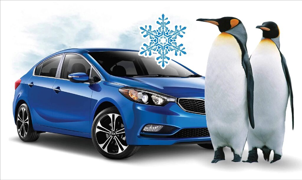 Oto lastik tamiri ШинкоFF 24, Saint‑Petersburg ve Leningradskaya oblastı, foto