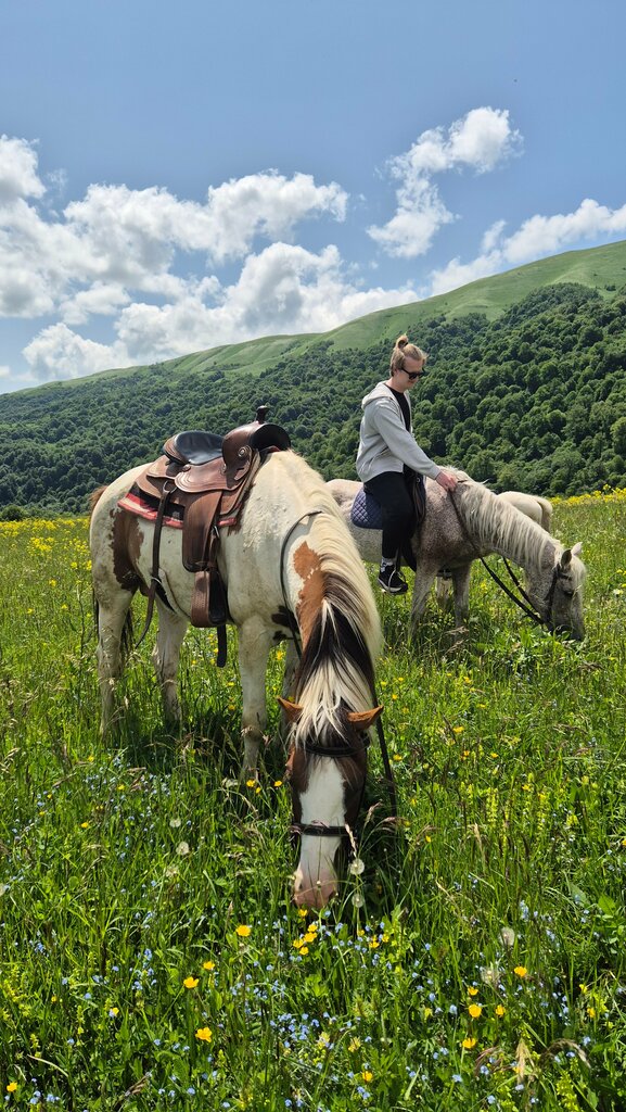 At ve binicilik kulüpleri Zartak Ranch, Tavuş, foto