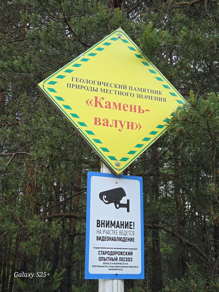 Turistik yerler Камень-валун, Minskaya oblastı, foto