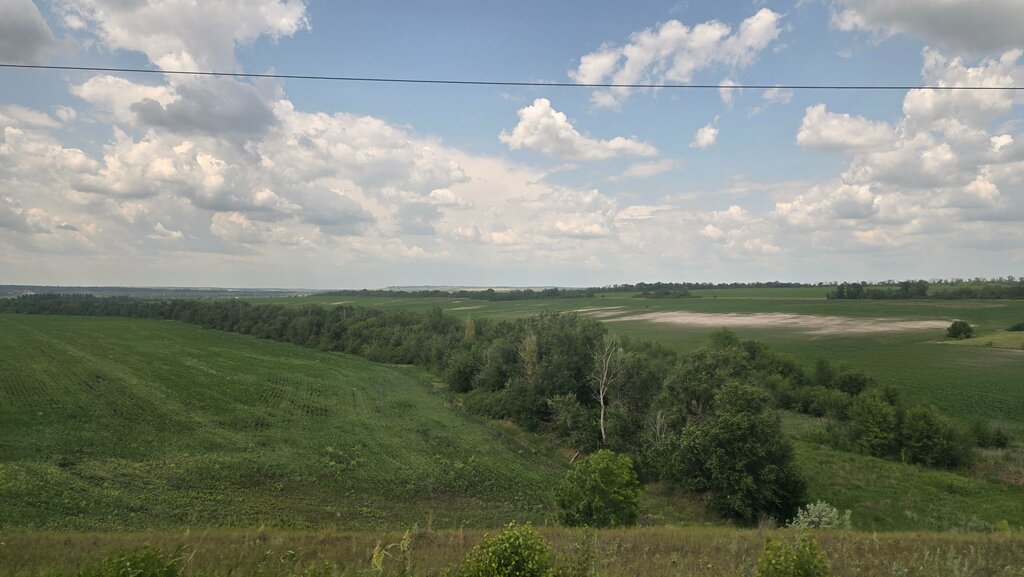 Orman Крутой лес, Voronejskaya oblastı, foto