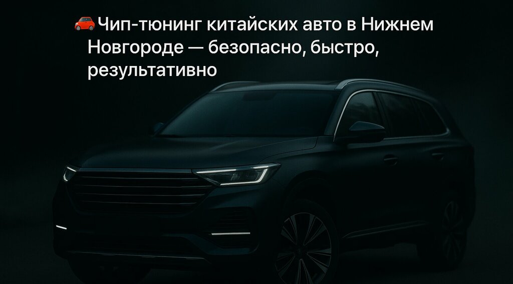 Otomobil servisi Prochip52, Nijegorodskaya oblastı, foto