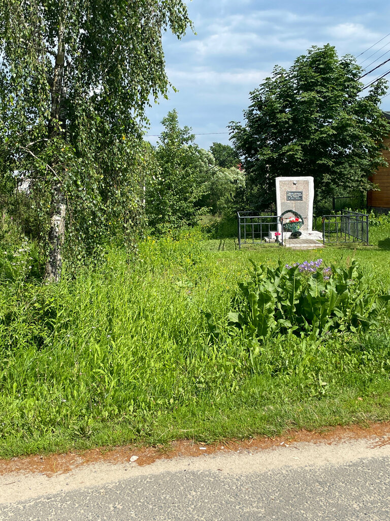 Anıt, heykel Воинам-землякам, погибшим в годы Великой Отечественной войны, Stupino, foto