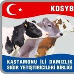 Kastamonu Damızlık Sığır Yetiştiricileri Birliği (Kastamonu, Kastamonu Merkez , Hepkebirler Mah., Omuzlu Sok., 1), sivil toplum kuruluşları  Kastamonu'dan