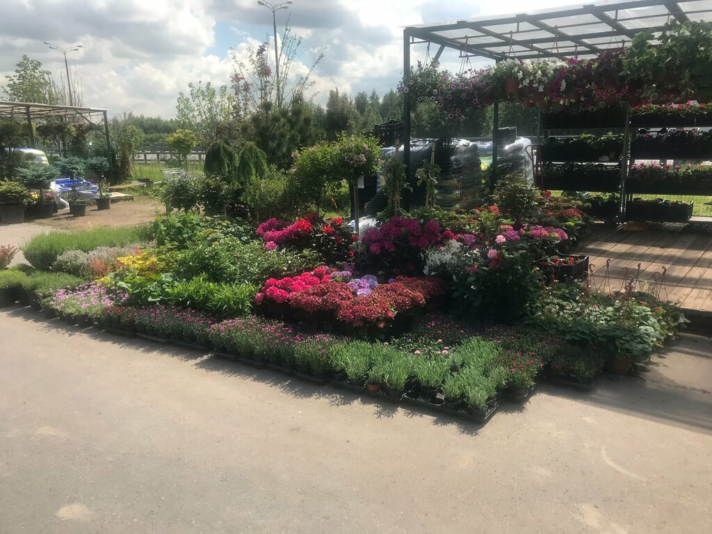 Sera ve bahçe ürünleri GreenGo Park, Aprelevka, foto