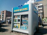 Славица (ulitsa 50 let Oktyabrya No:98, mikrorayon Gorodok Neftyanikov), dondurmacılar  Omsk'tan