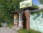 Магазин продуктов (Baykalskaya Street No:174А), market  Irkutsk'tan