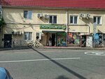 Гастроном (Sanatornaya Street No:36, Novyy Sochi Microdistrict), market  Soçi'den