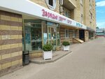 Enigma (Radishcheva Street No:5), görsel öğretim yardımcıları  Ulyanovsk'tan
