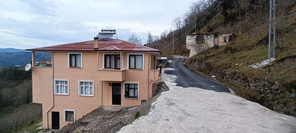 Muhtarlıklar Yeşilköy Mahalle Muhtarlığı, Araklı, foto