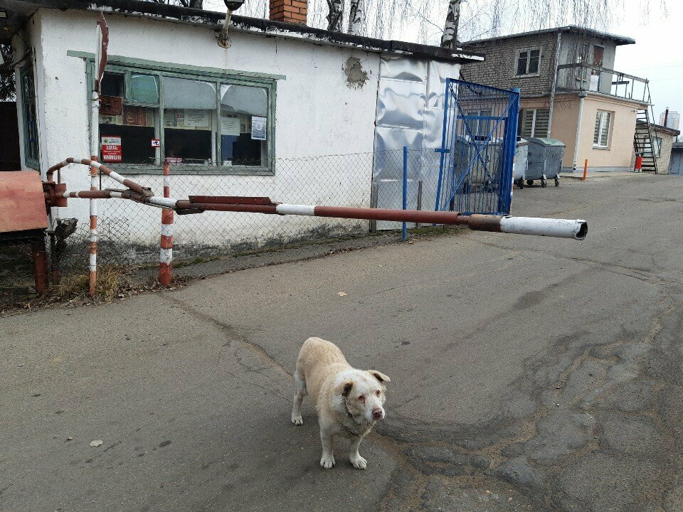 Otomobil servisi Motor Master, Minsk, foto