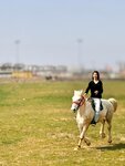 Aslan Horse Club (Bunyodkor Avenue No:156, Chilanzar District), at ve binicilik kulüpleri  Taşkent'ten