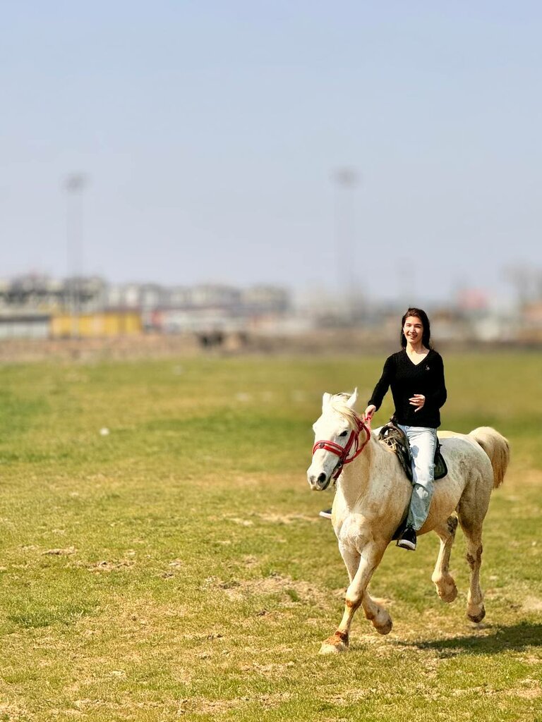 At ve binicilik kulüpleri Aslan Horse Club, Taşkent, foto