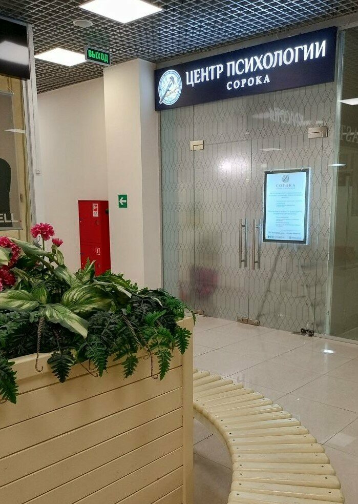 Çocuk ve gençlik merkezleri Центр психологии Сорока, Moskova, foto