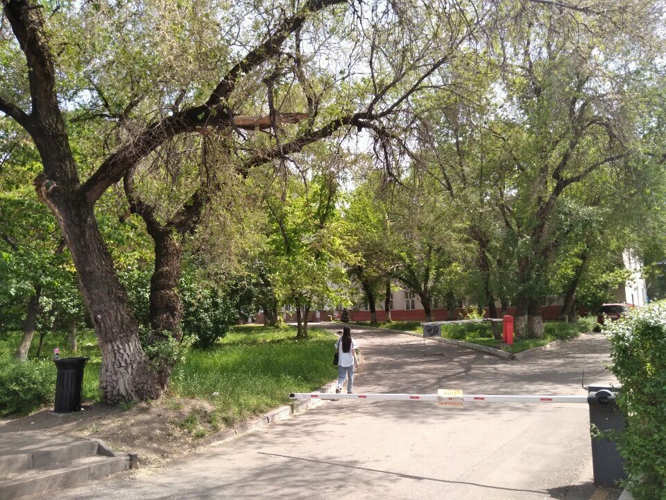 Üniversiteler Al-Farabi Kazakh National University, Faculty of Medicine and Healthcare, Almatı, foto