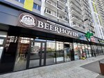 Beerhoven (Generala Glazunova Street No:6), bira dükkanı  Penza'dan
