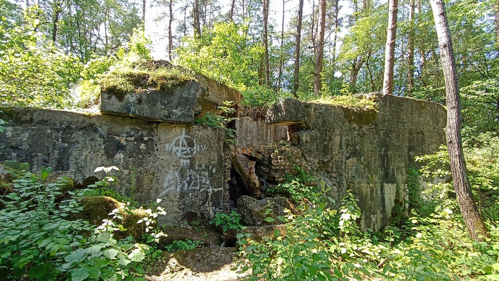 Turistik yerler Гродненская крепость, форт № 13, Grodno, foto