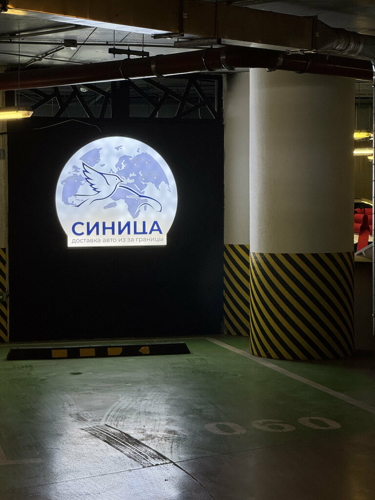 Otomobil satış galerileri Синица, Moskova, foto