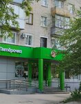 VapeWolf (ulitsa Tamary Derunets No:71), elektronik sigara satış noktaları  Tambov'dan