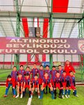 Altınordu Beylikdüzü Futbol Okulu (İstanbul, Beylikdüzü, Barış Mah., Akdeniz Cad., 10/1), spor kulüpleri  İstanbul'dan