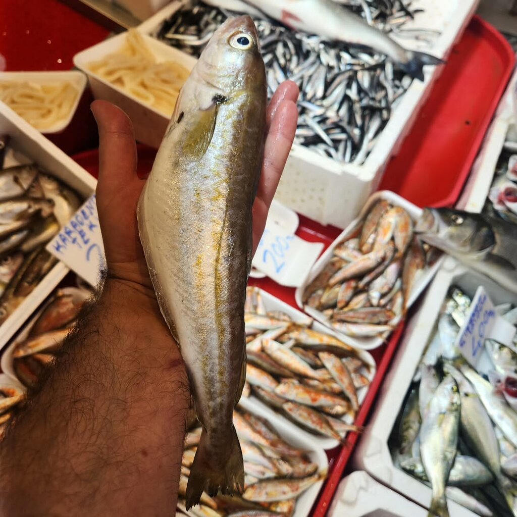 Kafe Ayaküstü Balık Ekmek, Çanakkale, foto