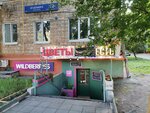 Wildberries (Budyonnogo Avenue No:24к1), teslimat noktası  Moskova'dan