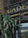 Cadeau (ulitsa Partizana Zheleznyaka No:48Б), güzellik salonu  Krasnoyarsk'tan
