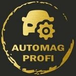 AutoMag-Profi.ru (ulitsa Tatarstan No:1А), otomobil yedek parçaları  Zelenodolsk'tan (Yeşel Üzen'den)