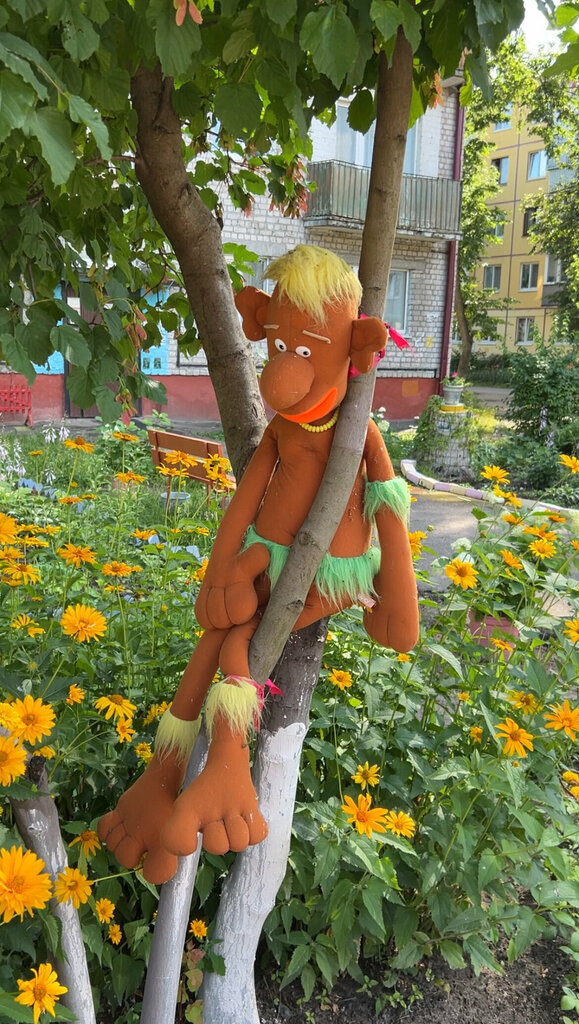 Turistik yerler Композиции из растений и камней, Briansk, foto