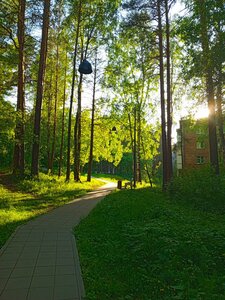 Милицейский парк (Krasnoyarsk Territory, Divnogorsk, Militseyskiy park), kültür ve eğlence parkları  Divnogorsk'tan