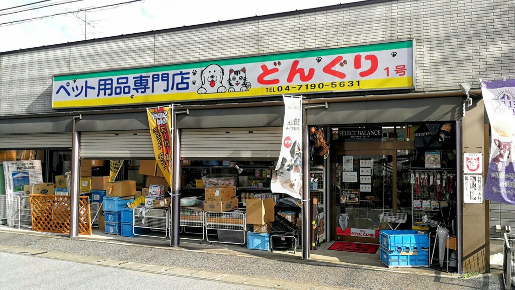 Petshop ペット用品専門店 どんぐり１号, , foto