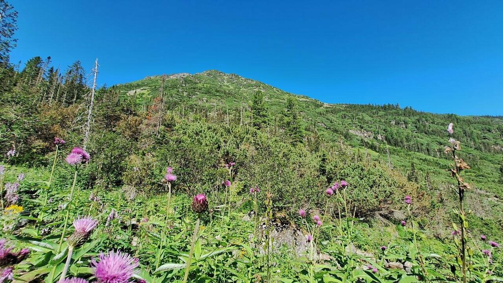 Dağ zirvesi Пик Бабха, İrkutskaya oblastı, foto