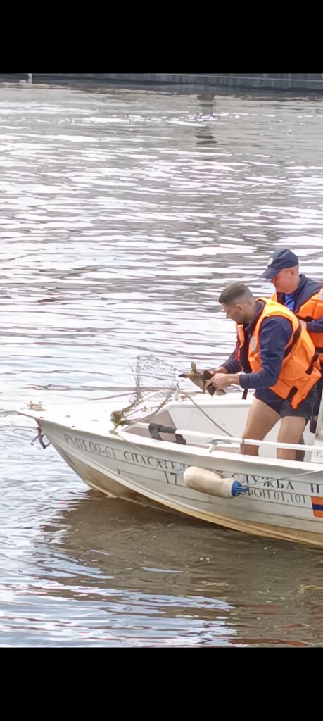 Arama kurtarma Поисково-спасательная станция Фили, Moskova, foto