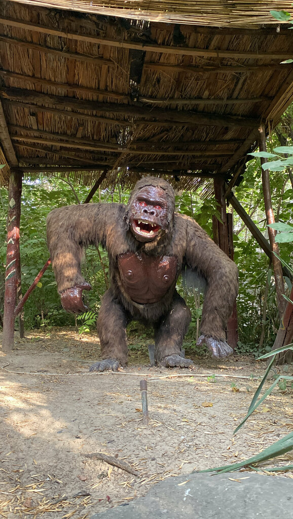 Atraksiyon Jungle, Taşkent, foto