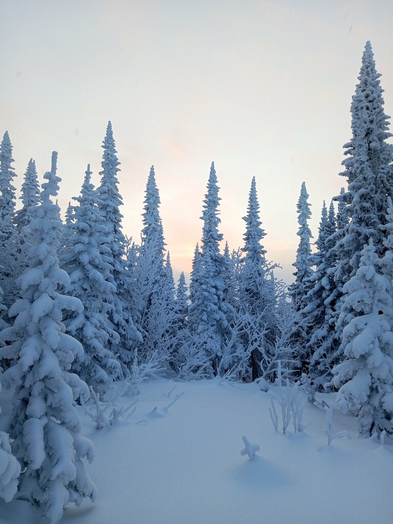 Dağ zirvesi Гора Чёрный Салан, , foto