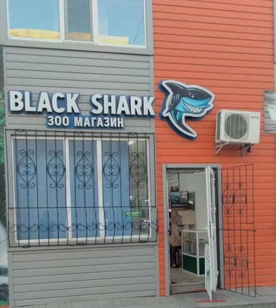 Petshop Black Shark, Yekibastuz (Ekibastuz), foto