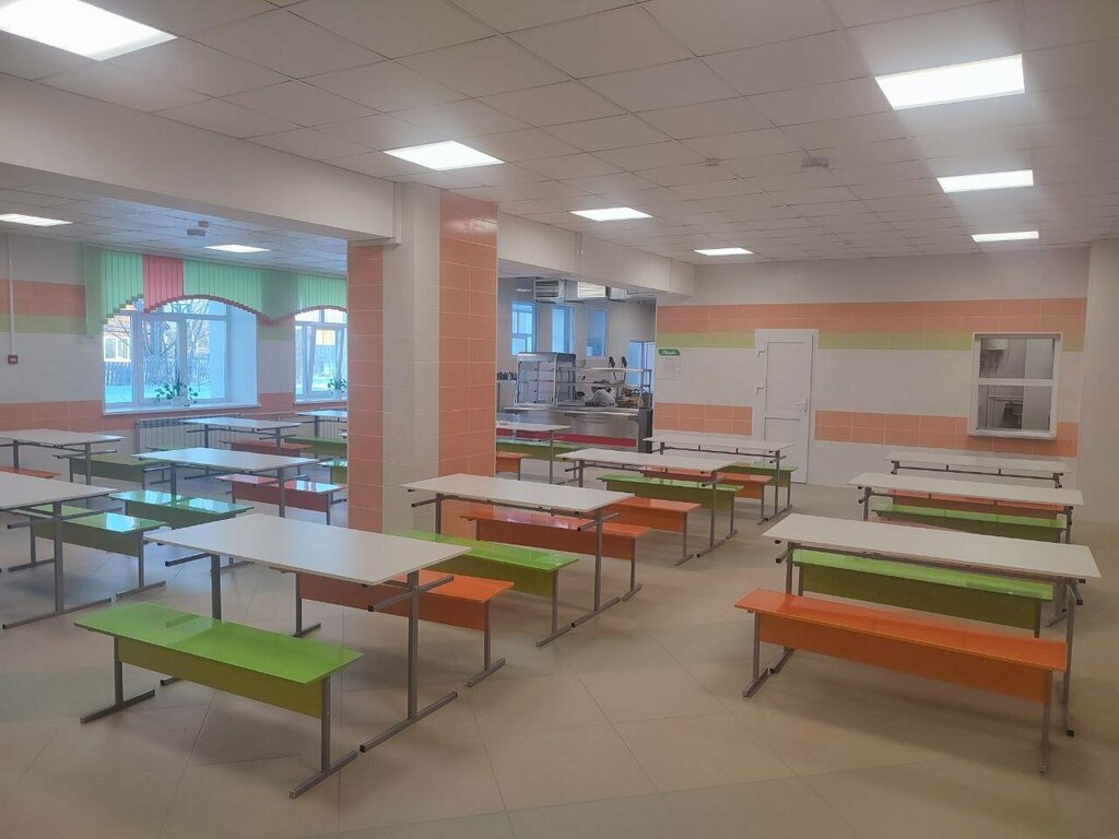 Ortaokul Комсомольская средняя общеобразовательная школа, Tomskaya oblastı, foto