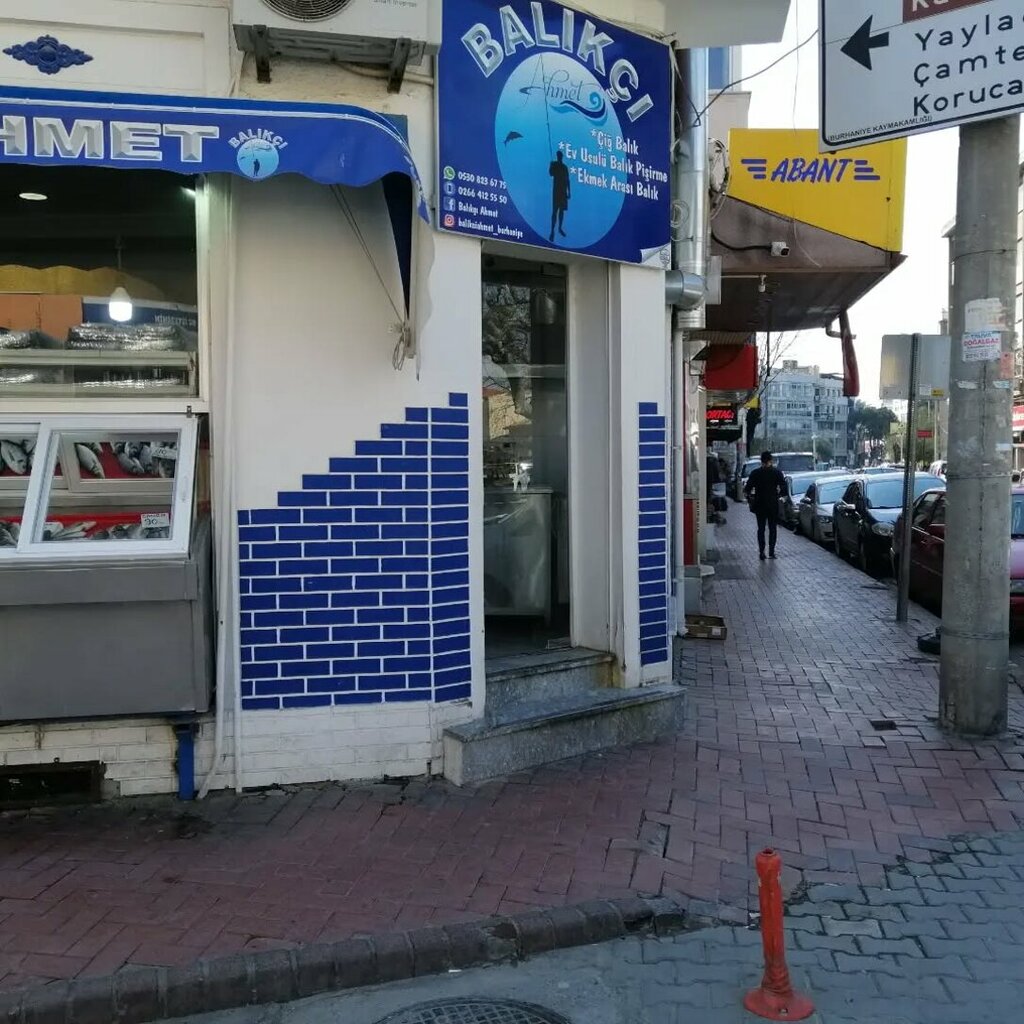 Balık ve deniz ürünleri Balıkçı Ahmet, Burhaniye, foto