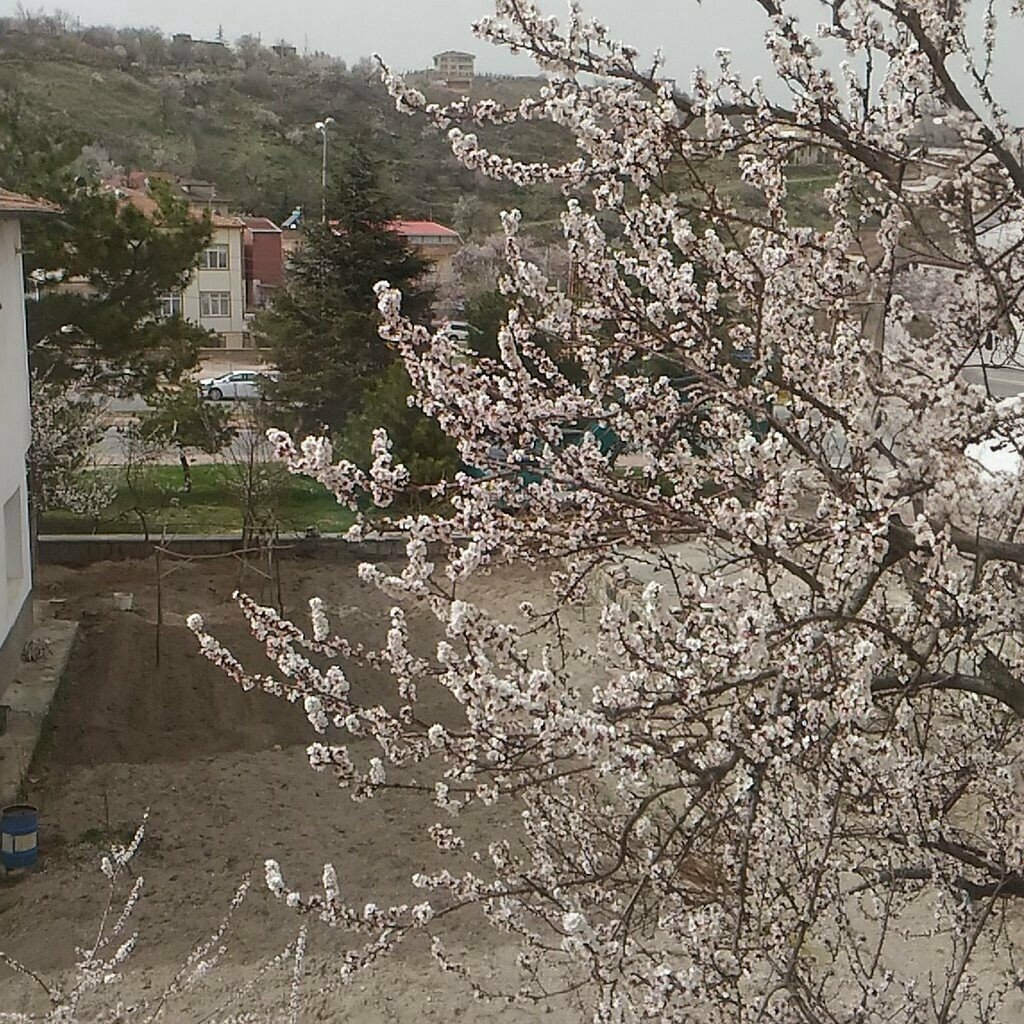 Cami Muhittin Tatar Cami, Kayseri, foto
