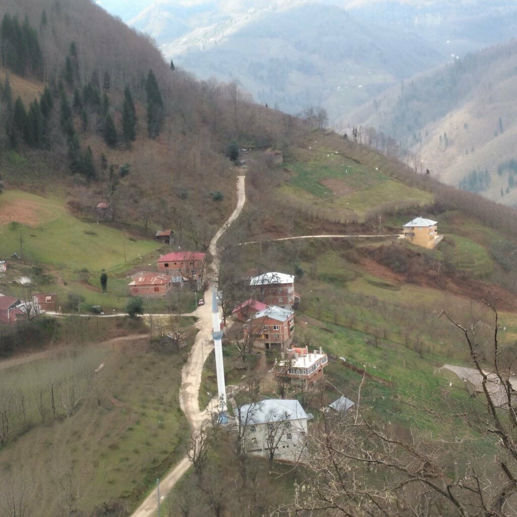 Cami Kurtulmuş Köyü Cami, Dereli, foto