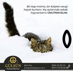Ertuğrul Safa Gülsün (Tokat, Tokat Merkez, Gülbaharhatun Mah., Mustafa Satan Cad., 5C), hukuk büroları  Tokat'tan