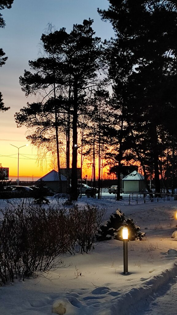 Tatil altyapısı Baza otdykha Mineralny istochnik Sosnovy bor, Tümen (Tiumenskaya) oblastı, foto