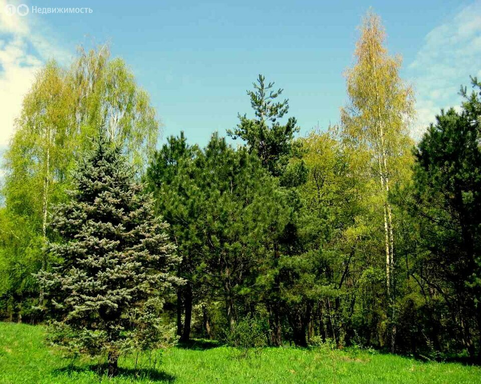 Yazlık yerleşim Грибная поляна, Moskova ve Moskovskaya oblastı, foto