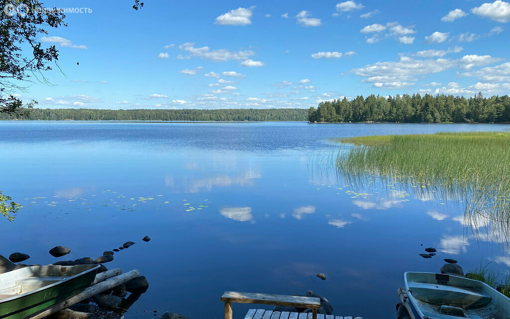 Yazlık yerleşim Лесная Ривьера, Saint‑Petersburg ve Leningradskaya oblastı, foto