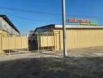 Building Materials (Altybay Sagimbayev Street No:51А), kereste üretim ve satış şirketleri  Kızılorda'dan