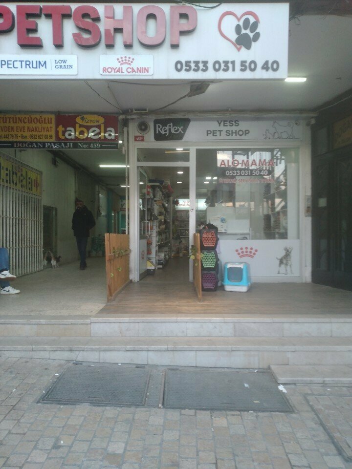 Petshop Yess Petshop, İstanbul, foto