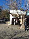 Ət dükanı (Mingachevir, Ərəş küçəsi), kasap, şarküteri  Mingeçevir'den