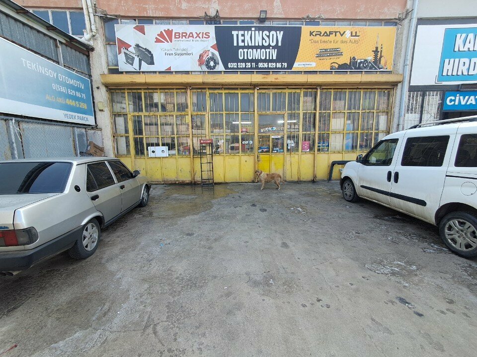Otomobil servisi Tekinsoy Otomotiv, Ankara, foto