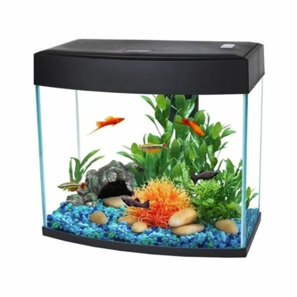 Petshop Natures Garden Aquarium, Dubai, foto